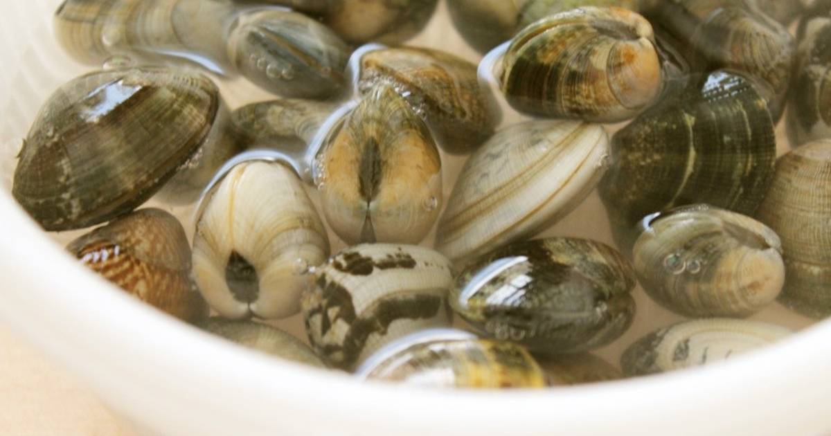 基本からアレンジまで！思わずつくりたくなる「あさりはまぐり」のレシピ集 | クックパッド