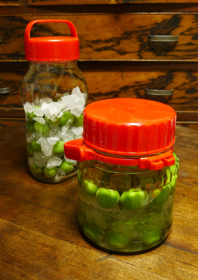 自家製☆梅酒 2018 by ＊nob＊ 【クックパッド】 簡単おいしいみんなのレシピが392万品