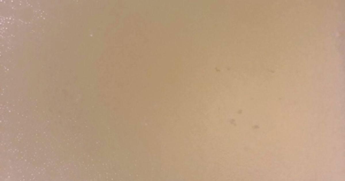 基本からアレンジまで！思わずつくりたくなる「cook4me」のレシピ集 | クックパッド