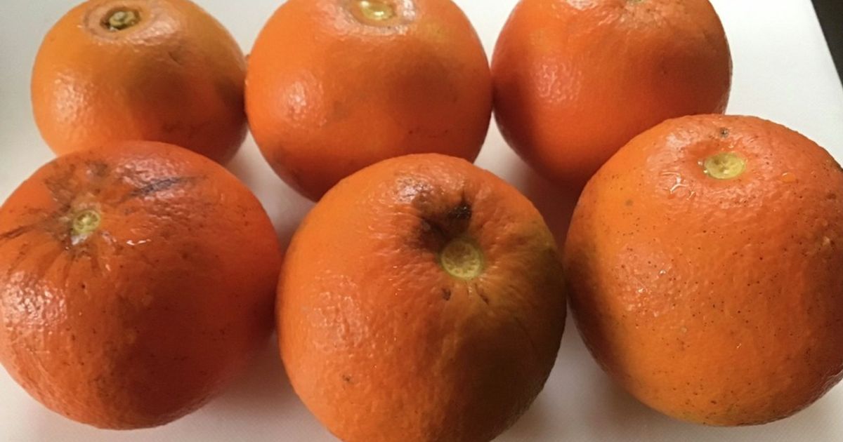 基本からアレンジまで！思わずつくりたくなる「サバ鰹ブシ」のレシピ集 | クックパッド